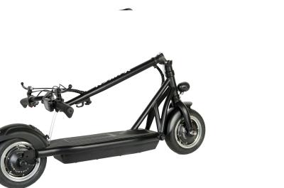 China Disc Brake 7 Speed Dual Motor Folding Electric Scooter for Performance and Reliability for sale