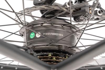 Cina 700C Motor Rear Hub Electric Bike Shimano 7 velocità Velo Electrique Step Through City Ebike in vendita