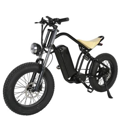 China 7 Speed Gears 1000w 750w Motor Fat Tire Off Road Dirt Bike Electric Bike Adult with 20*4 for sale