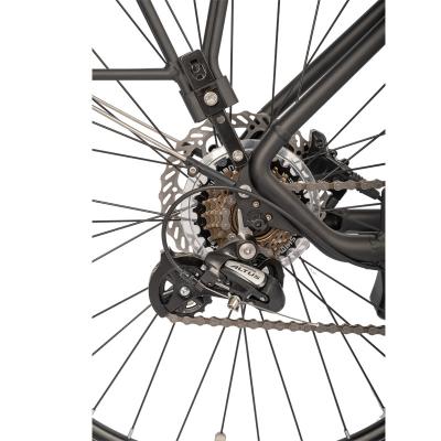 Cina Cornice in lega di alluminio Domanca Ebike Mid Drive Motor Electric Bike per i pendolari in città in vendita