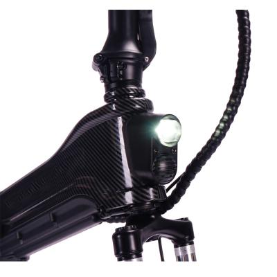 Cina DOMANCA 2024 Display LCD 48V 13Ah Bici elettrica con pneumatico Kenda Snow Fat da 20 pollici in vendita
