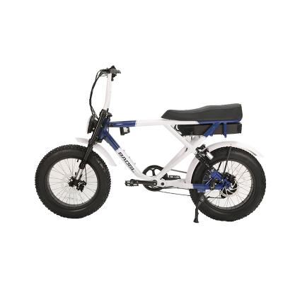 Cina Freno a disco 48v1000w Bicicletta elettrica City Design Bicicletta elettrica grassa per adulti Batteria15ah/20ah in vendita