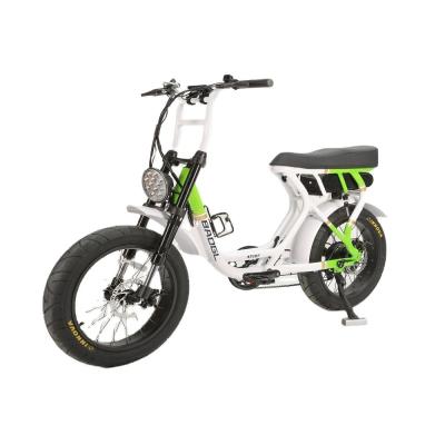 Cina Freno a disco 48v1000w Bicicletta elettrica City Design Bicicletta elettrica grassa per adulti Batteria15ah/20ah in vendita