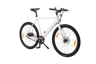 Cina Bicicletta elettrica multicolore Display LCD F R Disco Freno E-Bike Strada stradale in vendita