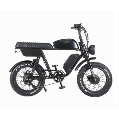 中国 リチウム電池と20インチホイールで 750Wの電動自転車 販売のため