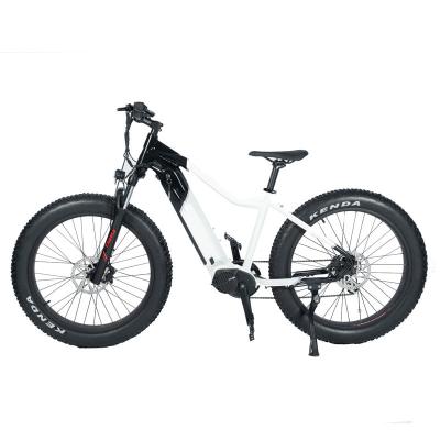 中国 750W 1000W ハイパワー 電動 マウンテン バイク フル サスペンションと水力ブレーキ 販売のため