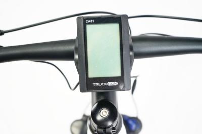 Cina Cornice in lega di alluminio 7 velocità 36V batteria al litio Bici elettrica per le donne città di pendolarismo in vendita