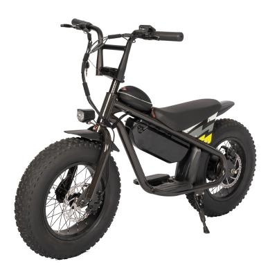 Cina Cornice in lega di alluminio da 16 pollici Bici di bilanciamento per bambini luce e sedile inclusi per bambini in vendita