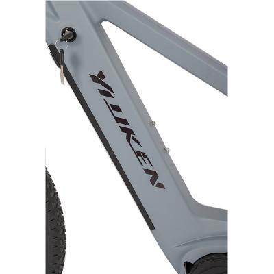 Κίνα Κέντα 700*45C Ρυθμικό μέγεθος Mountain Bike Ηλεκτρικό ποδήλατο City Design Bike για άνδρες προς πώληση