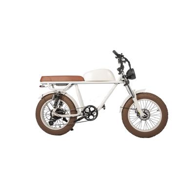 China Achterhoekmotor Elektrische motorfietsen E Bike 48v 750W voor 20 inch Fat Bike Standard Style Te koop