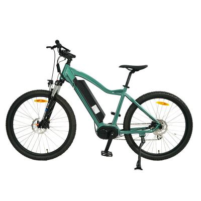 China 36V 9.6Ah Removable Battery 750W Brushless Motor 8 Speed Fat Tire E Bike for Adults for sale