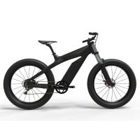 Quality Domanca Carbon Fiber Fat Tire Electric Bike Off eBike 750w with JELLY POWER for sale