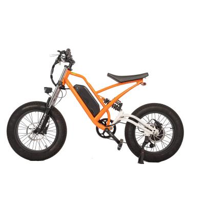 Cina Bicicleta elettrica da 48V con batteria da 13Ah 750W 1000W Motore 7 velocità 20