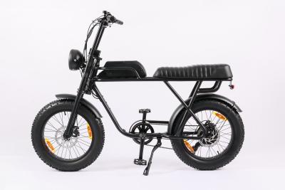 Cina 48V Batteria Bicicleta elettrica per adulti 750W 1000W Motore 7 Velocità 20