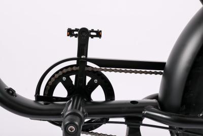 Cina 48V Batteria Bicicleta elettrica per adulti 750W 1000W Motore 7 Velocità 20