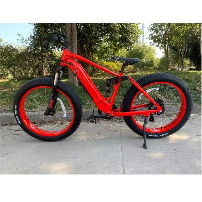 Cina Sensore Smart Tipo 500w 48v E Bike DOMANCA 2024 con pneumatico a grassi potente e personalizzato in vendita