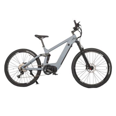 Cina APT 860C Display a colori 48V Mountain Fatbike Motociclette elettriche per adulti di DOMANCA in vendita