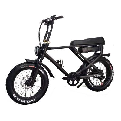 China Bicicleta de pneus elétricos de 20 polegadas para adultos Vintage personalizada E Dirt Bike Bicicleta de praia Cruzeiros à venda
