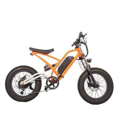Cina Motore a mozzo posteriore 750w High Speed Dirt Bike Off-Road Electric Fat Tire Bike Electric Cruiser Bikes in vendita