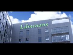 Luminans