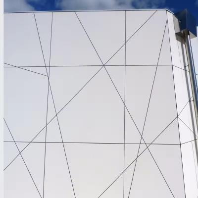 Cina Disegno di alluminio decorativo esterno inciso a foglio perforato per la facciata della parete a tenda in vendita