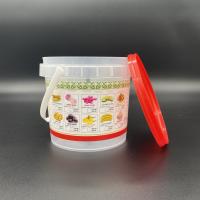 China Maximize Storage Space with Durable and Transparent Translucent Plastic Container for sale