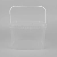 China 3L Transparent Square Plastic Bucket with Lid 19.5cm x 12cm for Food Storage and Pet Food Packaging for sale