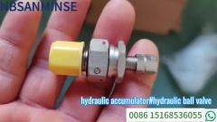 hydraulic accumulator#hydraulic ball valve#hydraulic valve#oil valve#bladder accumulator