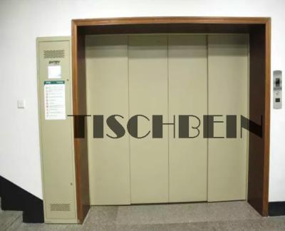 Cina ISO CE Industrial Cargo Lift Hotel Edificio per uffici Centro commerciale Magazzino in vendita