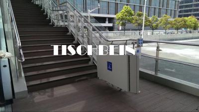 Cina Atterraggio sicuro Sedia a rotelle residenziale Piattaforma inclinata Ascensore Centro commerciale A basso rumore Facile da usare in vendita