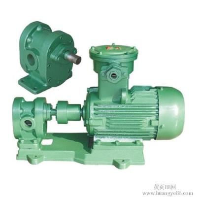 China 2CY high pressure electric fuel pump double gear oil pump for sale