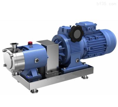 China D-3A stainless steel cam lobe flex pump high viscosity adjustable speed sanitary lobe pump for sale