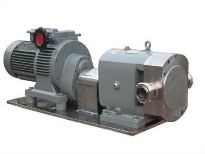 China SS304 SS316 food sugar Food Grade liquid lobe Pumps for sale