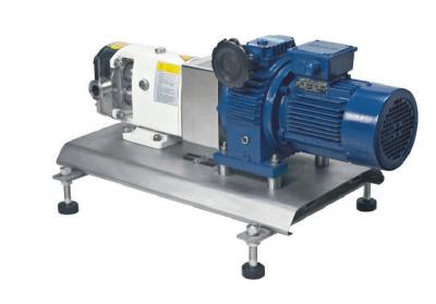 China stainless steel food grade rotary lobe pumps for sale