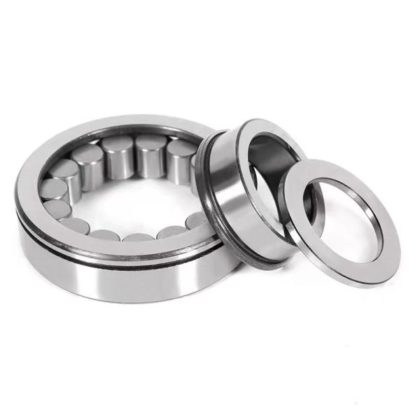 Quality Materials and C4 Clearance F-202578 Hydraulic Pump Cylindrical Roller Bearing for sale