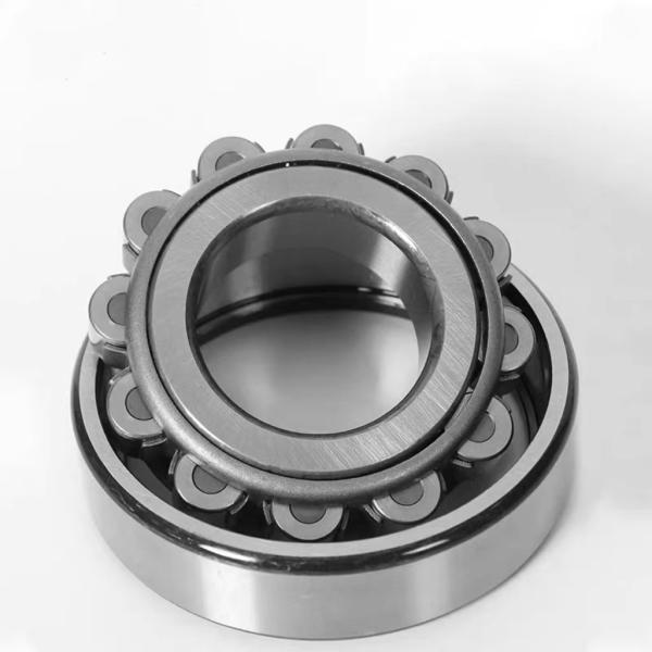 Quality Materials and C4 Clearance F-202578 Hydraulic Pump Cylindrical Roller Bearing for sale