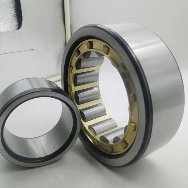 Quality Materials and C4 Clearance F-202578 Hydraulic Pump Cylindrical Roller Bearing for sale