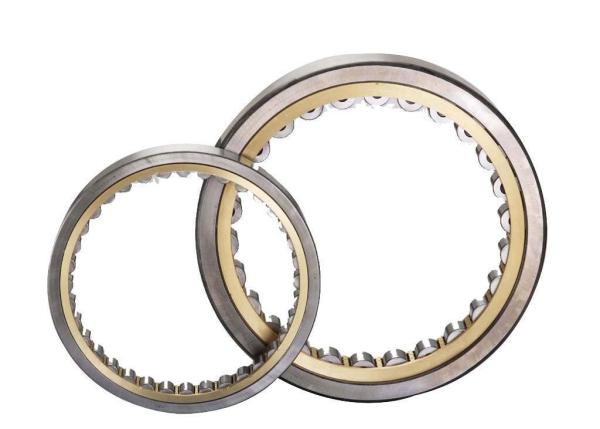 Quality Materials and C4 Clearance F-202578 Hydraulic Pump Cylindrical Roller Bearing for sale