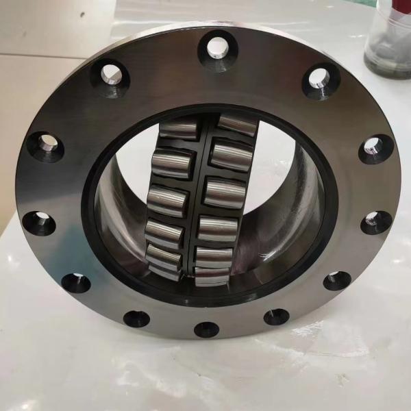 Quality Materials and C4 Clearance F-202578 Hydraulic Pump Cylindrical Roller Bearing for sale