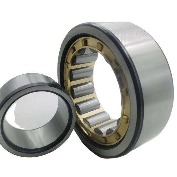 Quality 35X68.5X21 Tmb Rn307 Cylindrical Roller Bearing with P0 P6 P5 P4 P2 Precision Rating for sale