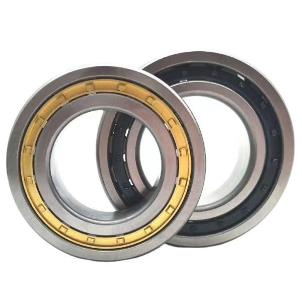 Quality NJ NU N310EM 311 312 313 314 Bearings High Load Brass Cage Single Row Cylindrical Roller Bearing for sale
