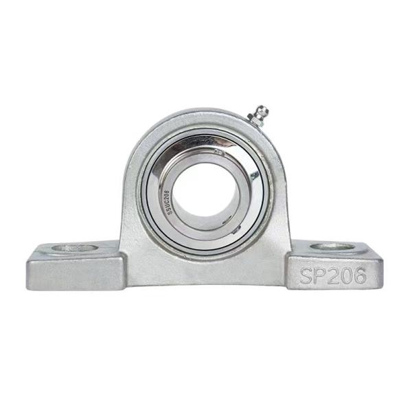 Quality 25.4Mm Bore Size Stainless Steel Pillow Block Bearing for Printing Shops for sale