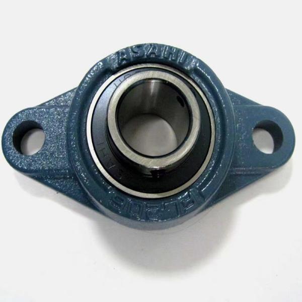 Quality Low Noise UCFL Series Bearing Housing Ucfl203 Ucfl204 Ucfl205 Fl207 Pillow Block for sale