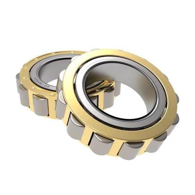 Cina SL014910 SL Tipo cuscinetto a rulli cilindrico completo con precisione P0 P6 P5 P4 P2 in vendita