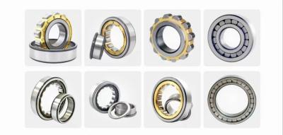 Cina SL014910 SL Tipo cuscinetto a rulli cilindrico completo con precisione P0 P6 P5 P4 P2 in vendita