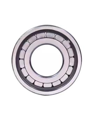 Cina SL014910 SL Tipo cuscinetto a rulli cilindrico completo con precisione P0 P6 P5 P4 P2 in vendita