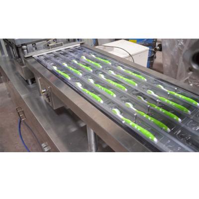 Cina la macchina imballatrice della bolla 7-12Kw, bastoncini produce delle bolle sulla formazione della macchina in vendita