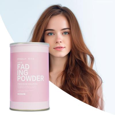 China Pandla Original OEM Hair Dye Bleach Powder Professional for Salon Dust Free 500g for sale