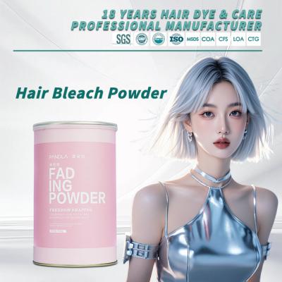 China Pandla Ammonia Free OEM Bleach Powder Gentle Hair Color Lightener Wholesale Herbal Hair Dye for sale