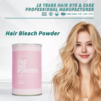 China Pandla Bleach Powder Hair Color Gentle Dust Free Formula OEM Salon Care Lightener for sale